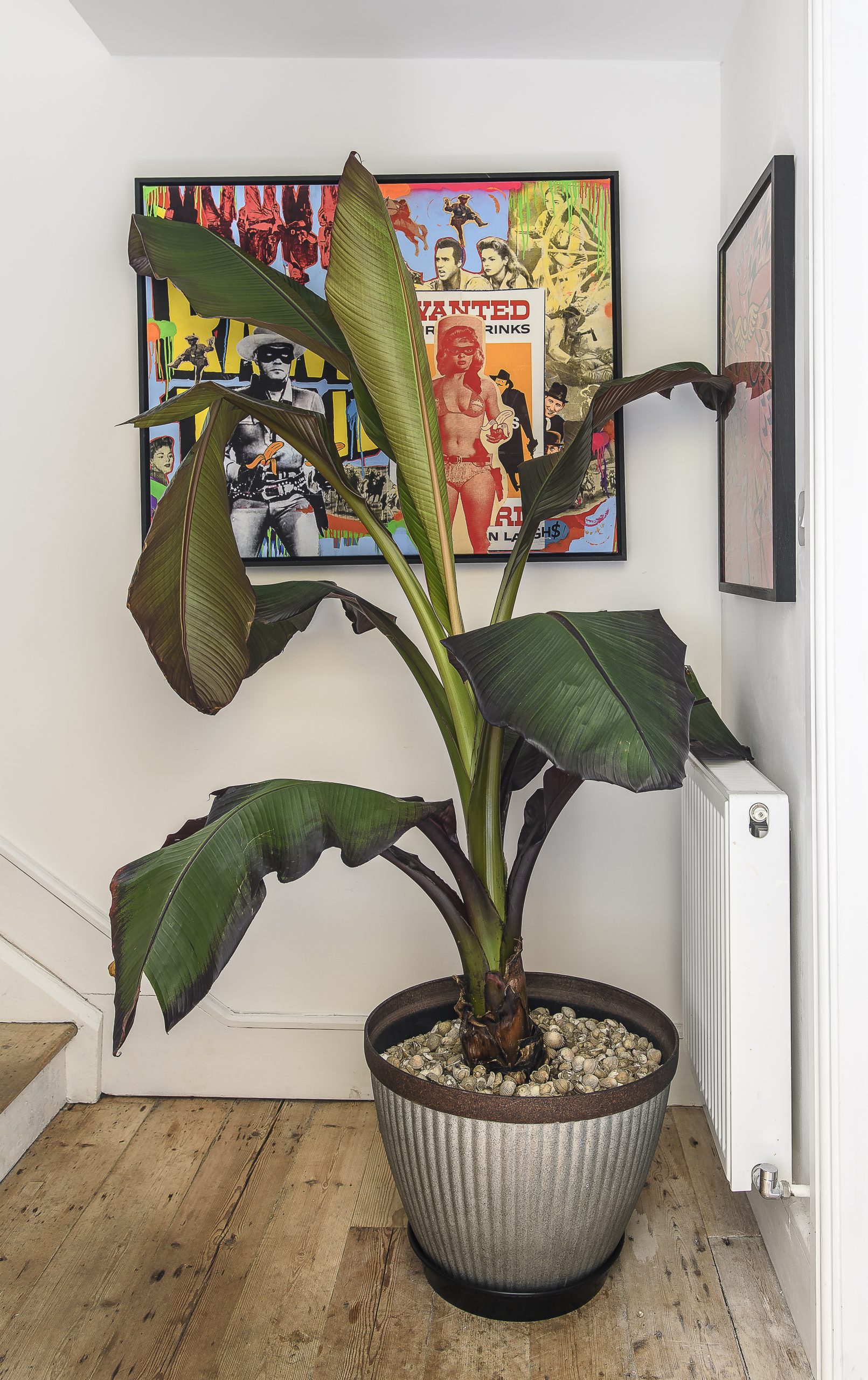 Living Over The Shop – Priceless Magazines