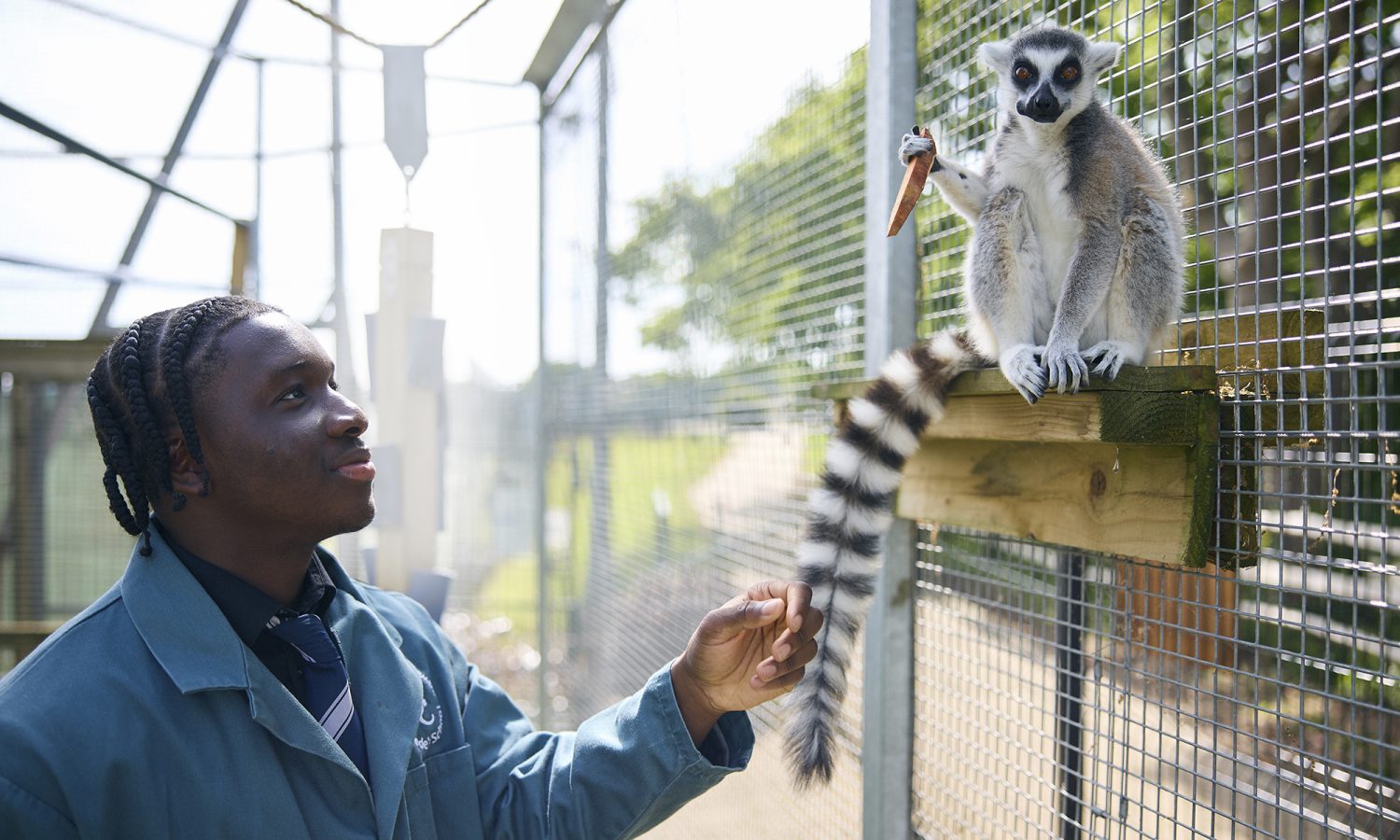 We built a zoo – Priceless Magazines