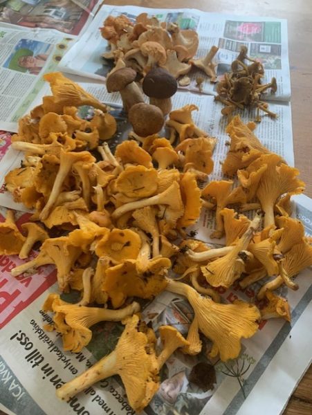 A Destination of a Different Nature – Priceless Magazines