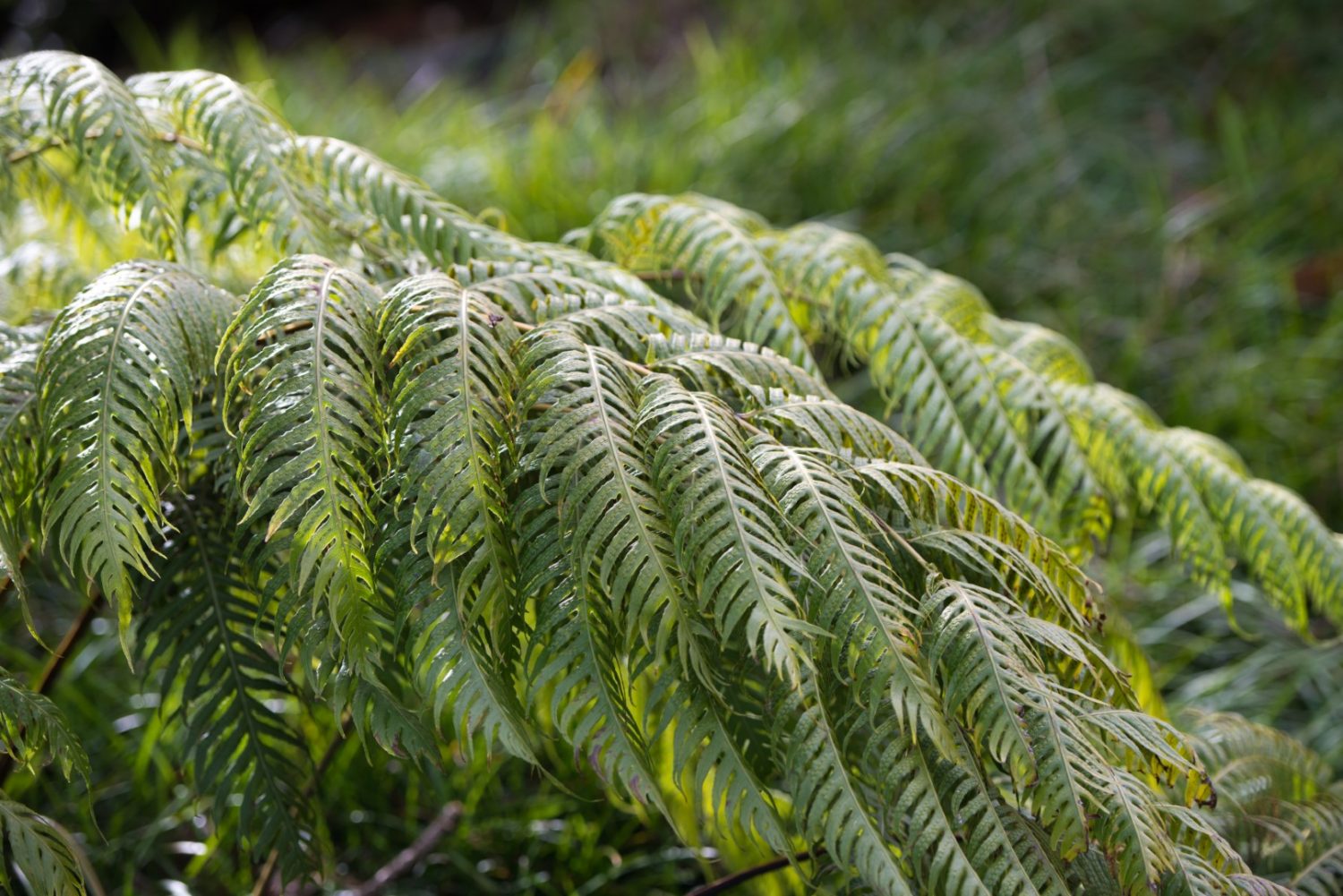 A few of my favourite things… – Priceless Magazines